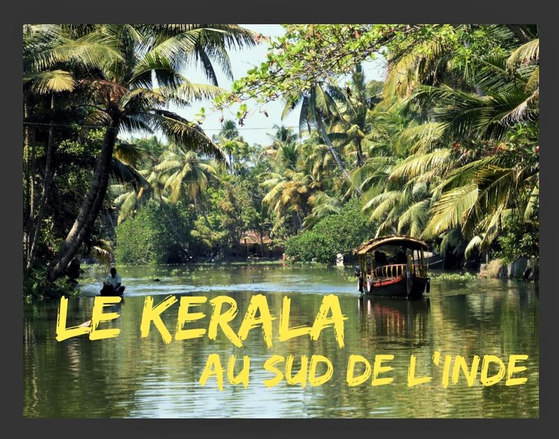 Voyage au Kerala, découverte de ce petit paradis au sud de l'Inde